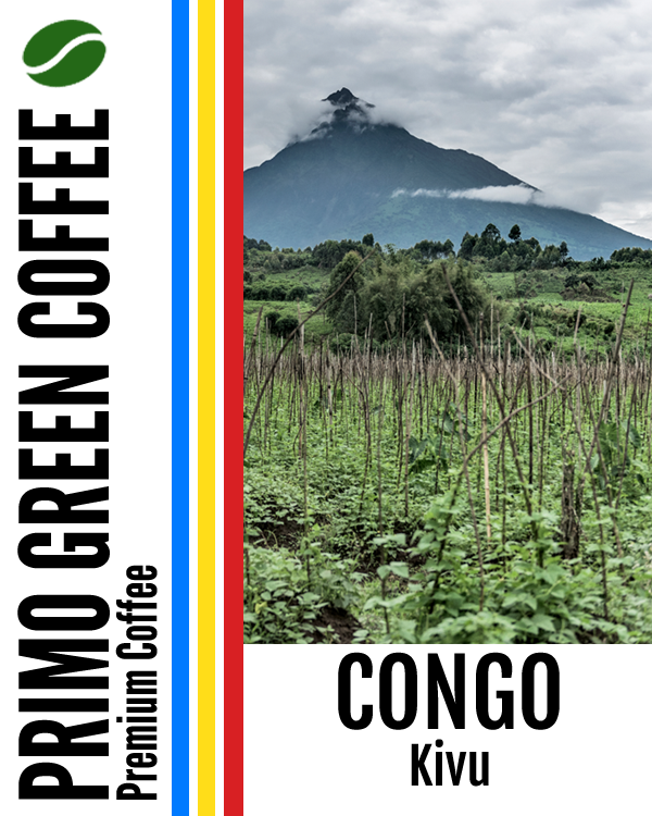 Congo Kivu G3 Organic – Primo Green Coffee